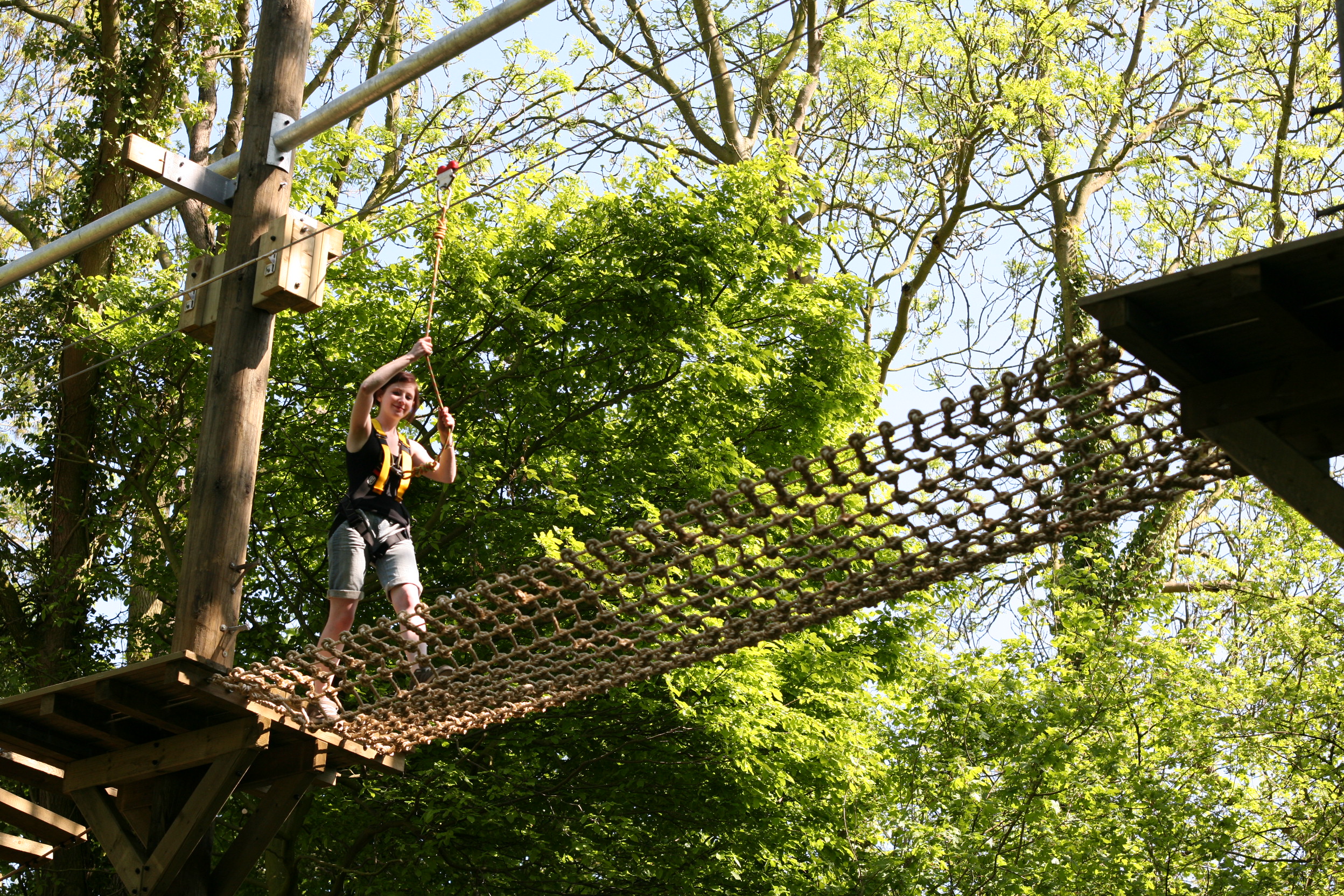 Howletts Wild Animal Park | Wildlife Parks in Kent - Visit Canterbury