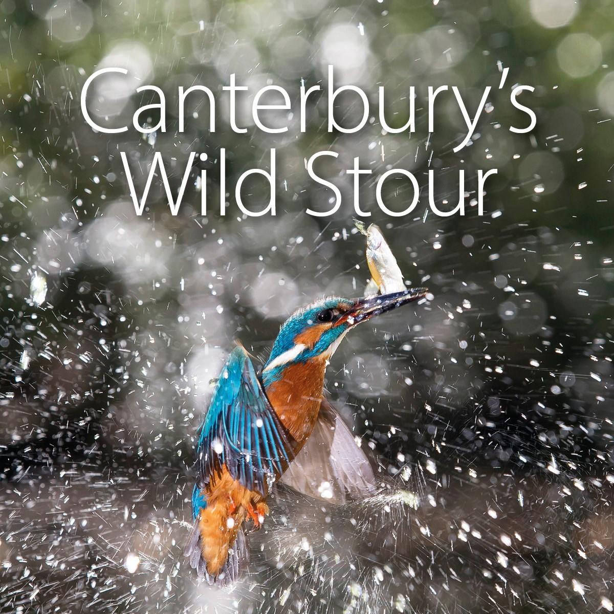 Canterbury's Wild Stour - Visit Canterbury